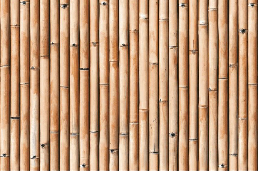 Buy EHM Bamboo Beige Dk Wall Tiles Online | Orientbell Tiles