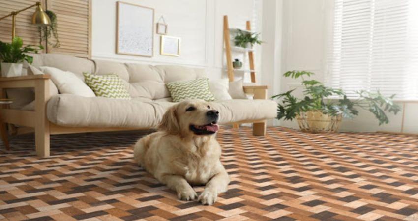 4 Reasons Why Scratch-Free Tiles Are Suitable Flooring for Pets At Home